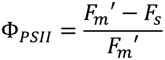 LI-600 and LI-600N Porometer/Fluorometer | LI-COR Environmental