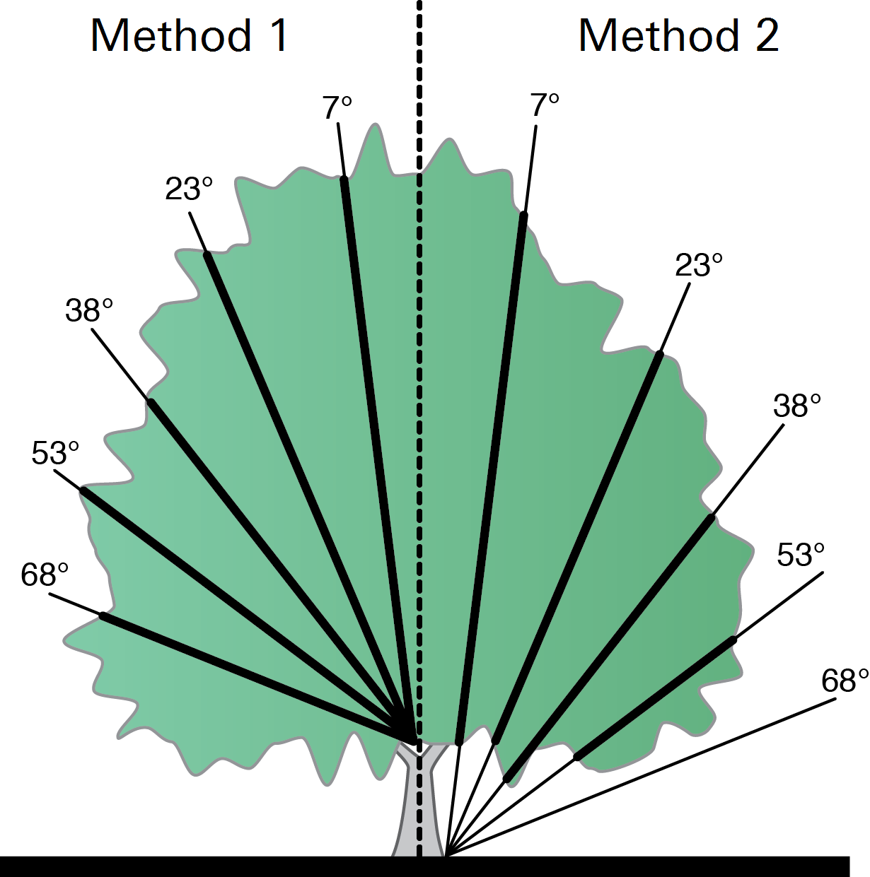 LAI-2200C | Measuring Isolated Plants
