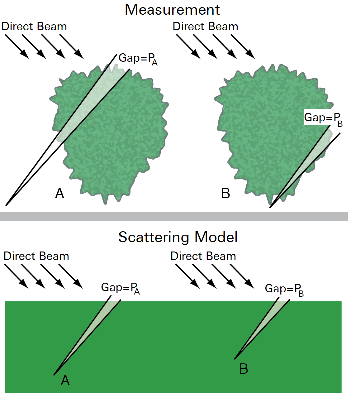 LAI-2200C | Model Limitations for Scattering Corrections